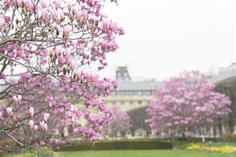 Celebrating The Cities In Bloom Trilogy