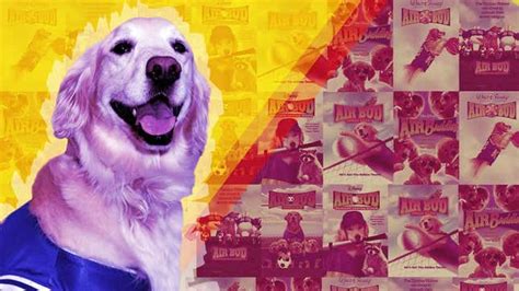 A Completely Definitive Ranking Of All Five Air Bud Movies