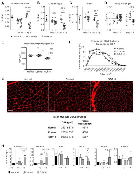Exogenous GDF Induces Cardiac And Skeletal Muscle Dysfunction And Wasting Abstract Europe PMC