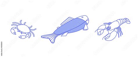 Food Set Fish Seafood Salmon Tuna Cod Lobster Isometric Vector