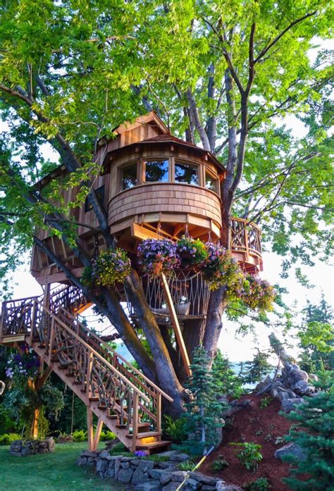 Tree House With A Great View Life Tiny House