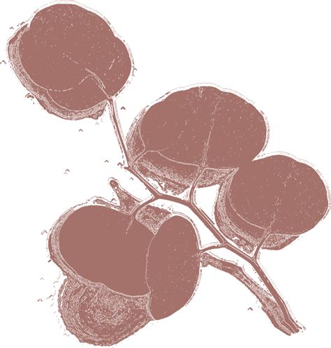 Kimberly Heeb Np Womens Health And Holistic Practices