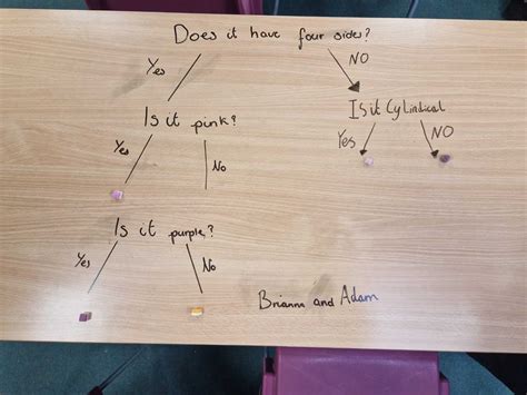 Year 6 Classification