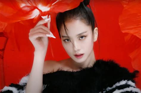 BLACKPINK's Jisoo Goes Solo, Signs with Warner Records