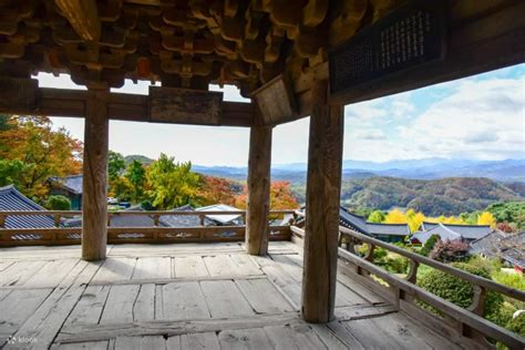 Yeongju Buseoksa Temple And Sosuseowon Confucian Academy Day Tour Klook