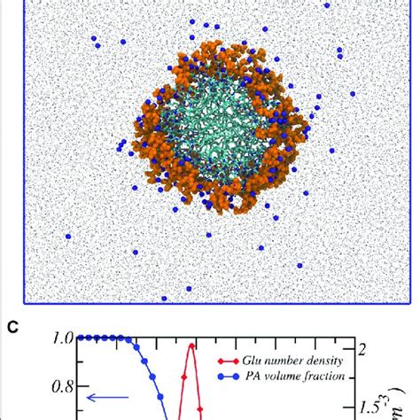 Atomistic Simulation Snapshot And Density Profiles A Chemical
