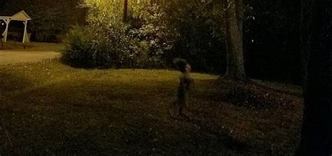 Estranha criatura foi fotografada em jardim à noite Arquivo UFO