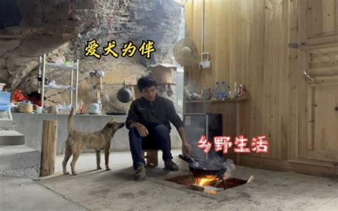 洞外大雨倾盆一人五狗围炉煮茶听雨爱犬为伴的山里生活不孤单 乡野志刚 乡野志刚 哔哩哔哩视频