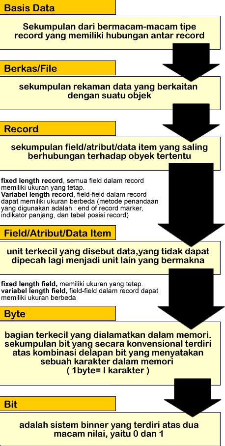 Hierarki Basis Data ~ Mari Belajar Basis Data