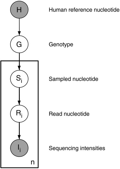 The Graphical Model Used In Snpest Circles Represent Random Variables