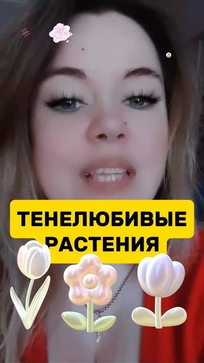 РАСТЕНИЯ ДЛЯ ТЕНИ тенелюбивыерастения растениядлятени садоводство растения участок грядки