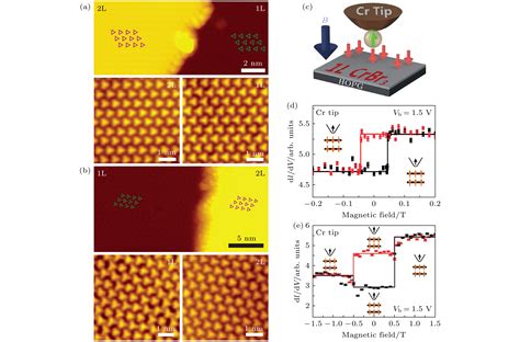 Recent Development In Two Dimensional Magnetic Materials And Multi Field Control Of Magnetism
