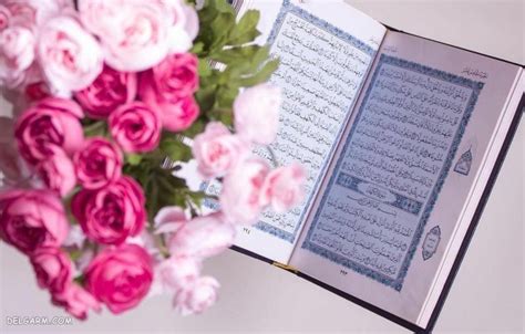 25 عکس قرآن و گل باکیفیت برای پروفایل و اینستاگرام