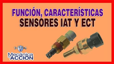 Diagrama Del Sensor Iat Sensor Iat