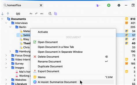 ai summary document summary maxqda