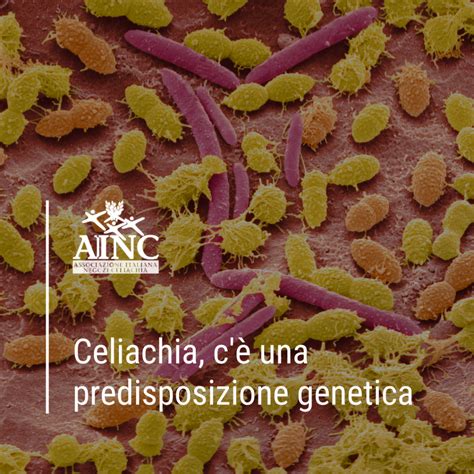 E Se Ci Fosse Una Predisposizione Genetica Alla Celiachia Ainc