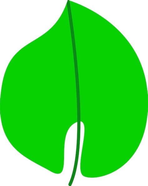 Illustration De Feuille Vecteur Premium