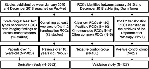 A New Risk Scoring System To Predict Xp11 2 Translocation Renal Cell Carcinoma In Adults Pmc
