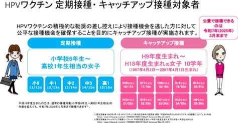 子宮頸がんワクチン（hpvワクチン）のキャッチアップ接種ーまだ間に合います！ 東中野セント・アンジェラクリニック