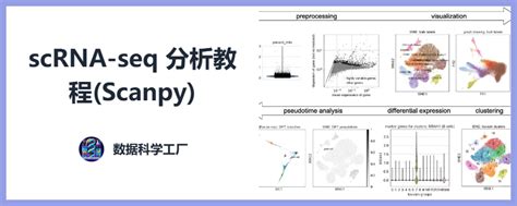 Scanpy 分析 3k Pbmcs：降维与聚类 阿里云开发者社区
