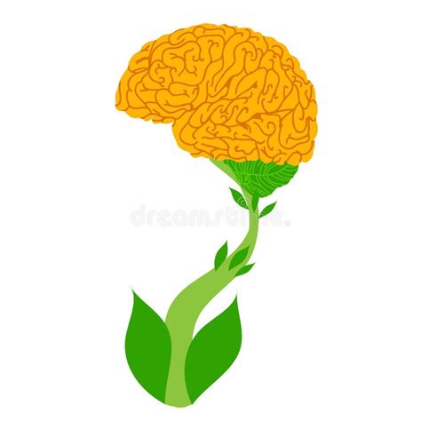 Brain Tree With Ideas Stock Vector Illustration Of Illuminate 37076714