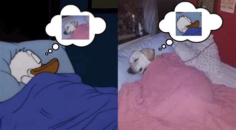 40 Memes Thatll Have You Laughing Ebaums World