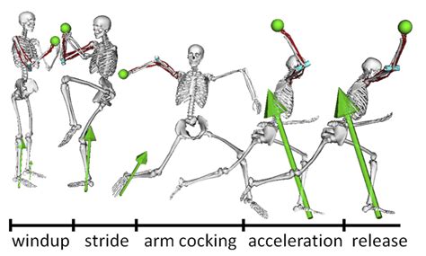Biomechanics Research Biomedical Engineering Northwestern Engineering