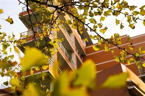 学习强国 云助学丨校园风采中国计量大学光影里的校园 中国计量大学