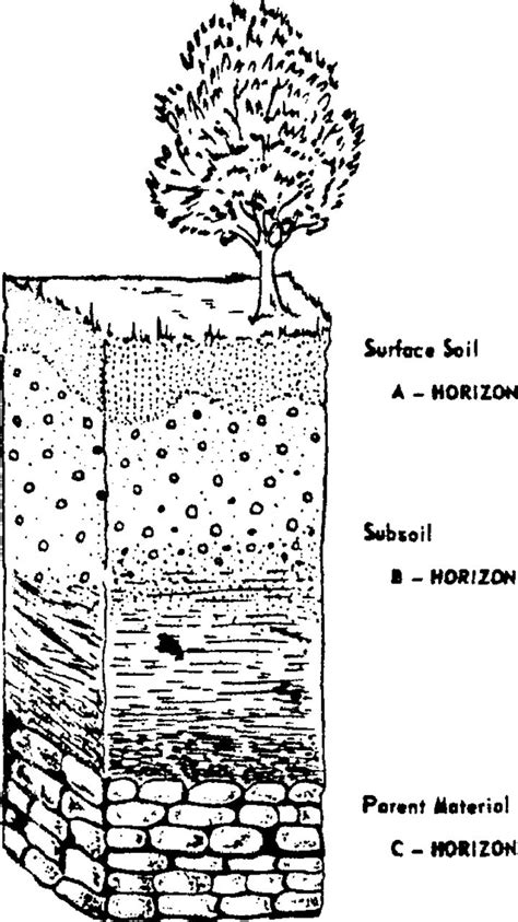 Pics Of Soil Profile