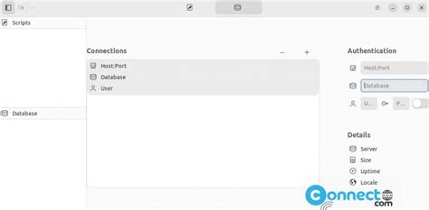 Queries Relational Database Workbench Application CONNECTwww