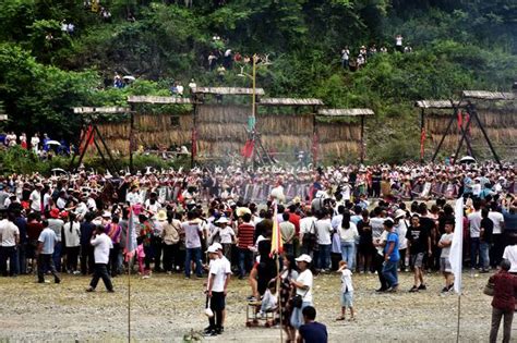 沸騰的白馬山寨 每日頭條