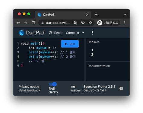 증가연산자 다트dart 입문 Everdevel
