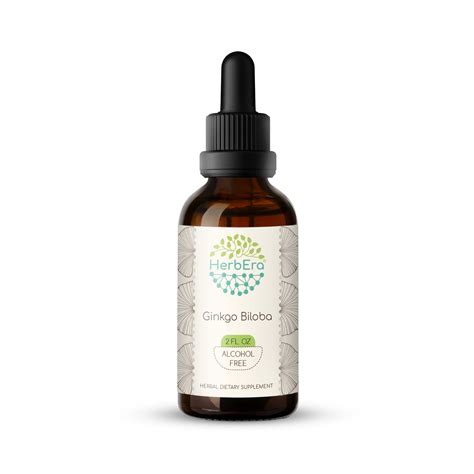 Buy Ginkgo Biloba B60 Alcohol Free Al Extract Tincture Concentrated