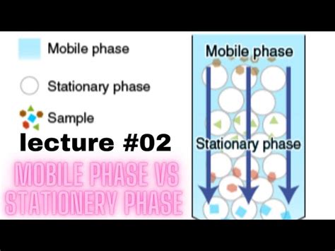 Chromatography Stationary And Mobile Phase Chromatography