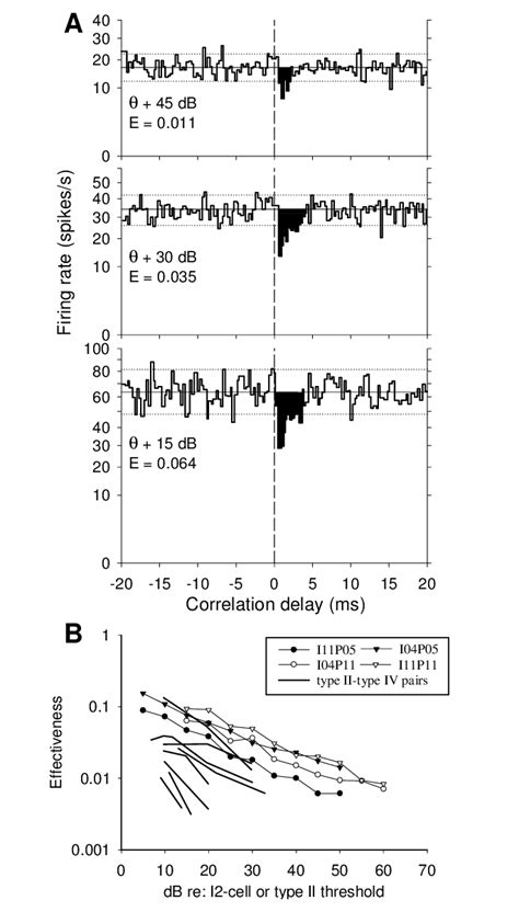 A Cross Correlograms Derived From Spike Trains Of One I2 Cell And One