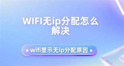 Wifi无ip分配怎么解决 Wifi显示无ip分配原因 驱动人生