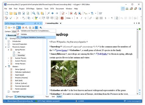 What S New In Oxygen XML Editor