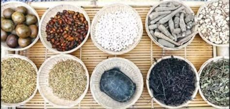 双钱实业参评十大药膳集中评比 TOM资讯