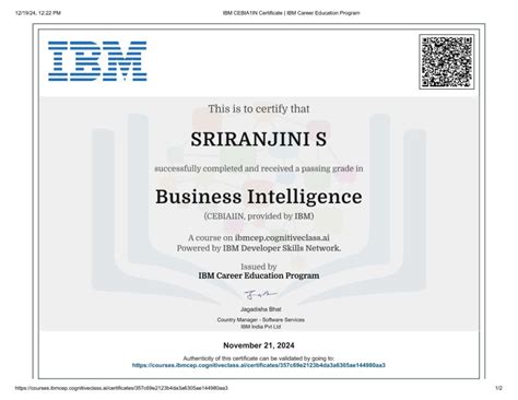 Businessintelligence Ibm Dataanalytics Skilldevelopment