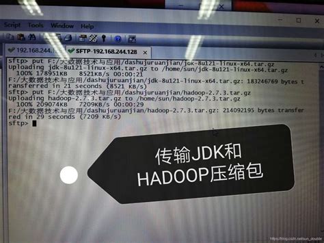 大数据技术与应用 实验一报告 Jdkhadoop安装配置、单机模式配置、伪分布式、完全分布式配置jdk和hadoop的安装和配置实验总结