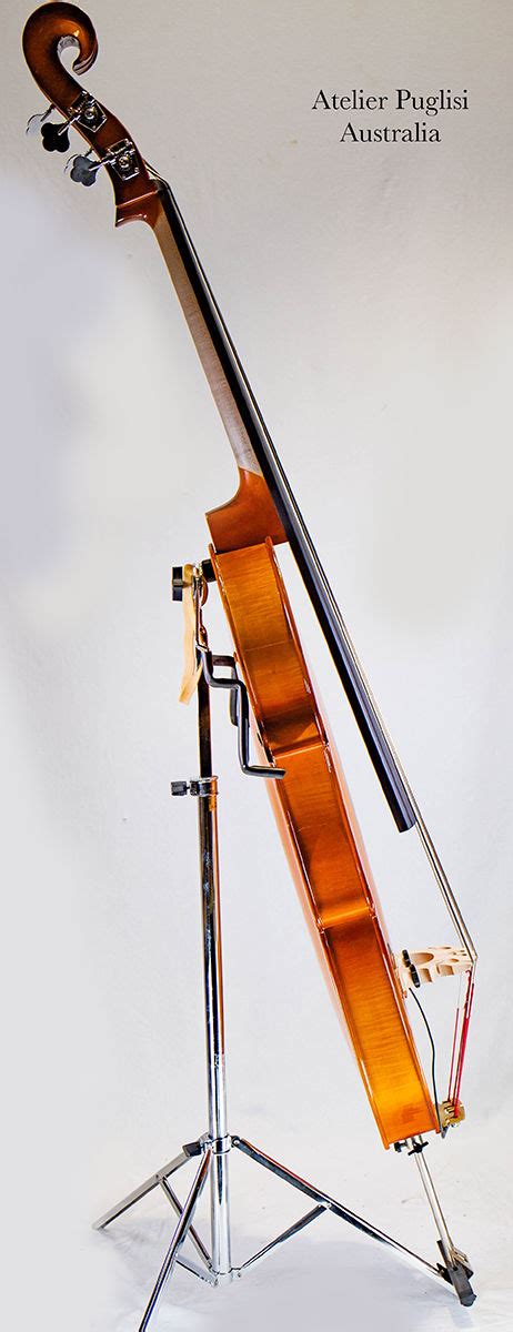 Double Basses Atelier Puglisi