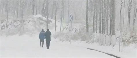 中国联通服务再升级：引领数智生活， 点亮“千兆时代”网络客户河南省