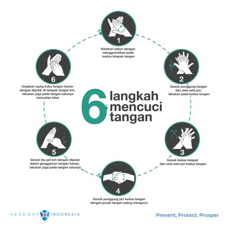 6 Langkah Cuci Tangan Sticker 10x10 Cm 1 Vaxcorp Indonesia