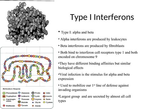 Interferons Types Actions And Interferon Drugs Ppt