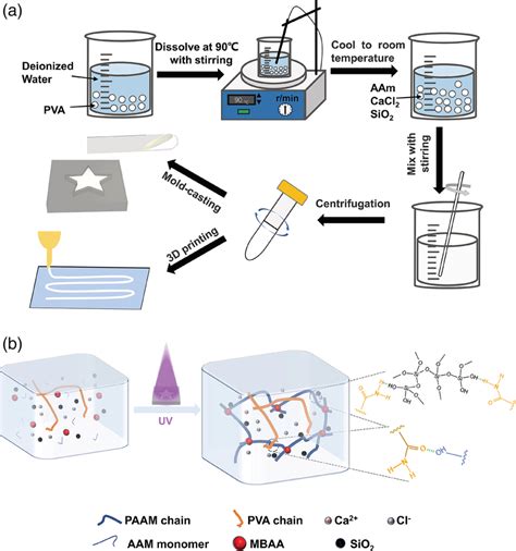 A Schematic Of The 3d Printable Pva Paam Cacl2 Sio2 Hydrogel Download Scientific Diagram