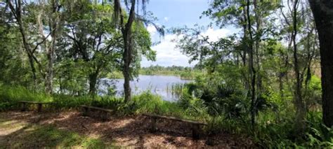 Best Hikes And Trails In Tenoroc Public Use Area Alltrails