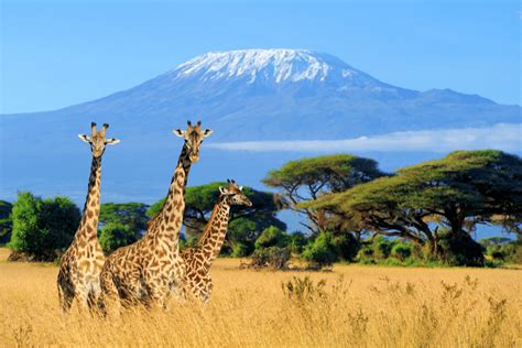 10 Days In Kenya For Beginners