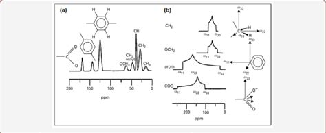 Figure 1 From 13c Solid State Nuclear Magnetic Resonance As A Tool For