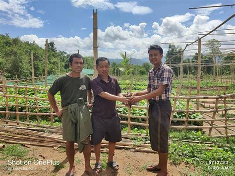 ဒေါနတောင်တန်းပေါ်က နွေဦးတော်လှန်ရေးရဲ့ ပထမဦးဆုံးသော သစ်တော