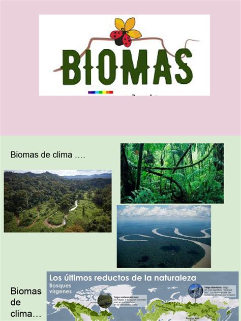 Biomas Pdf Clima Ciencias De La Tierra